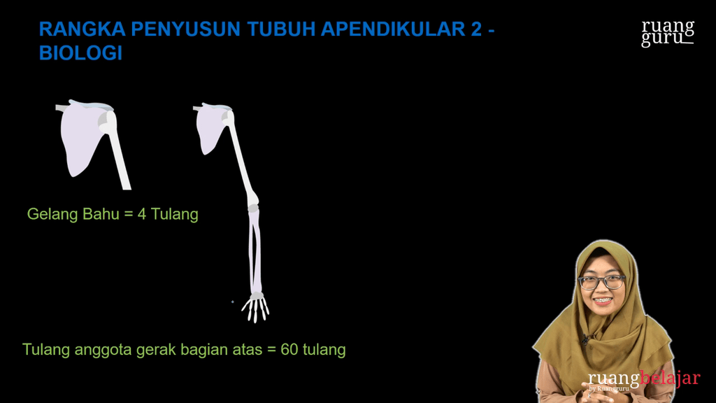Video belajar Rangka Penyusun Tubuh Apendikular 2 Biologi untuk Kelas 8