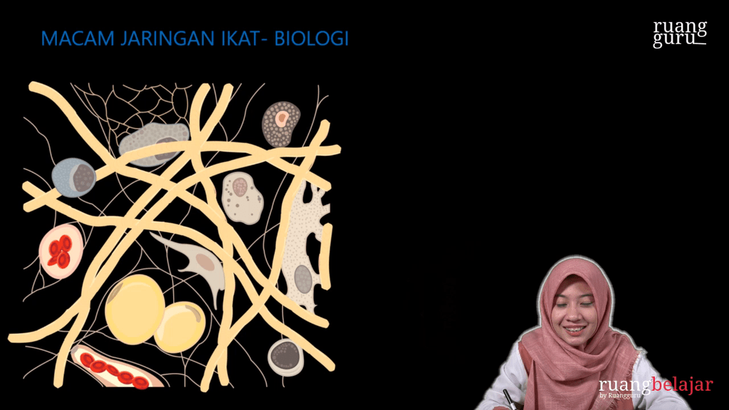 Video belajar Macam Jaringan Ikat Biologi untuk Kelas 11 IPA