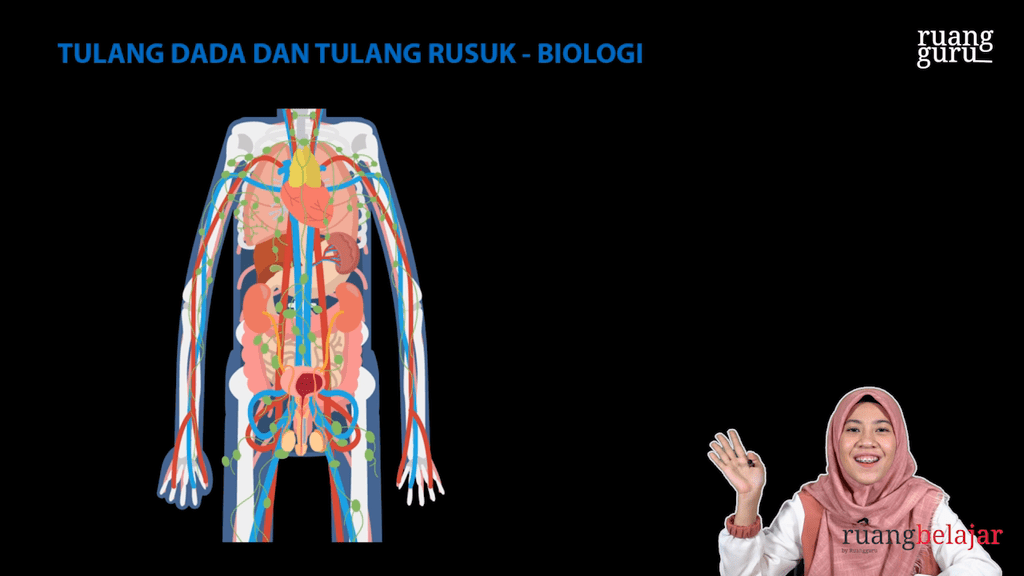Video belajar Tulang Dada dan Tulang Rusuk Biologi untuk Kelas 11 IPA