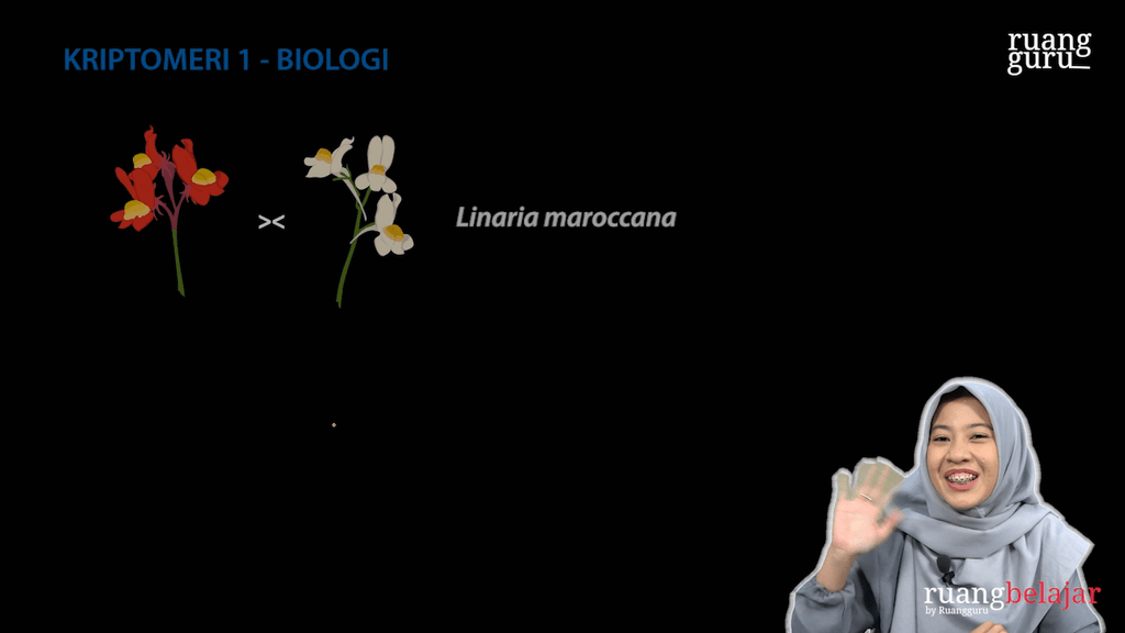 Biologi SMA Kelas 12 IPA Hukum Mendel ⚡️ Penyimpangan Semu Hukum Mendel