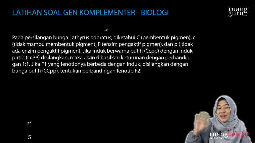 Video belajar Latihan Soal Gen Komplementer Biologi untuk Kelas 12 IPA
