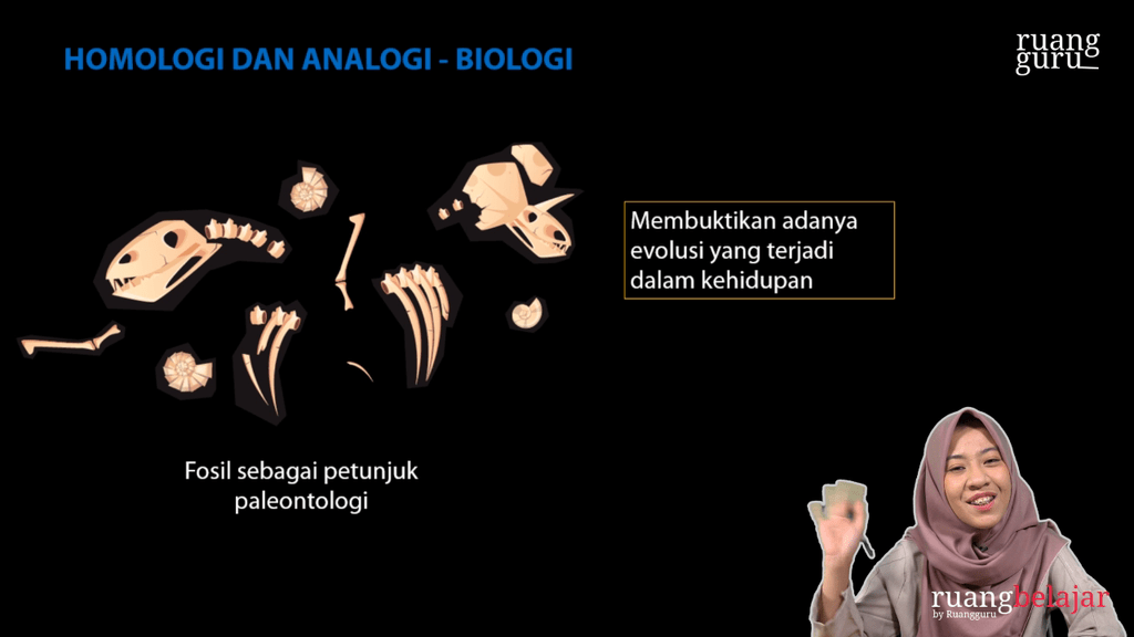 Video belajar Homologi dan Analogi Biologi untuk Kelas 12 IPA