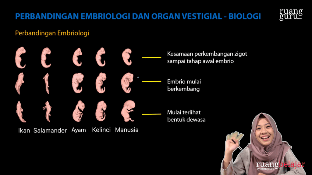 Video belajar Perbandingan Embriologi dan Vestigial Biologi untuk Kelas 12 IPA