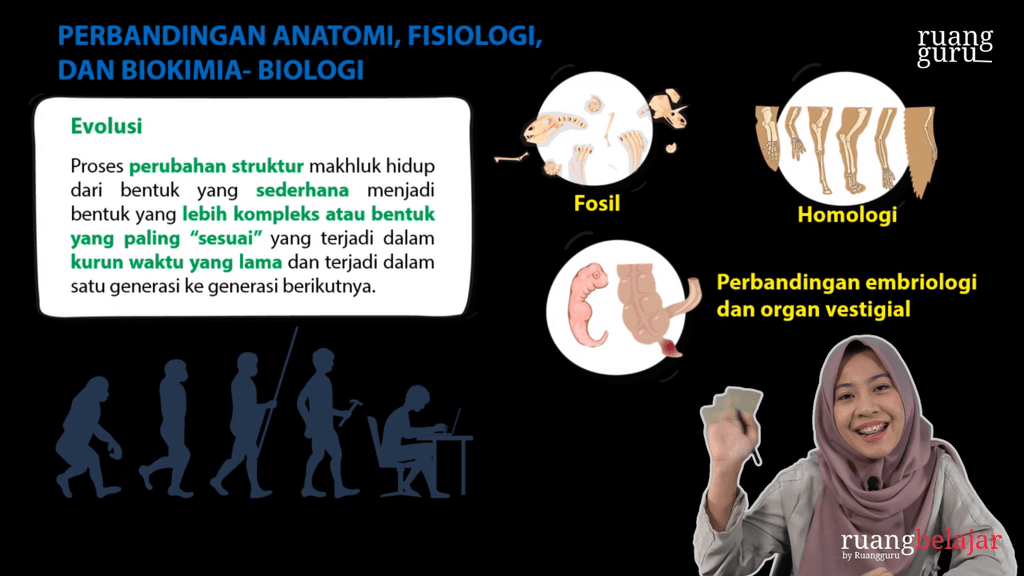 Video belajar Perbandingan Anatomi, Fisiologi, dan Biokimia Biologi ...