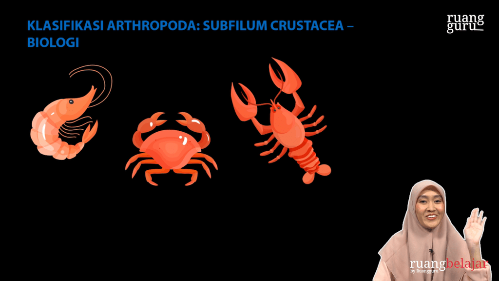 Video belajar Klasifikasi Arthropoda - Subfilum Crustacea Biologi untuk ...