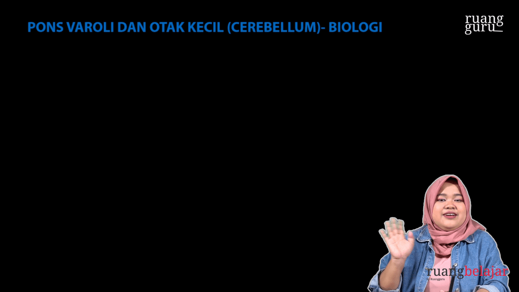 Video belajar Pons Varolii dan Otak Kecil (Serebelum) Biologi untuk ...