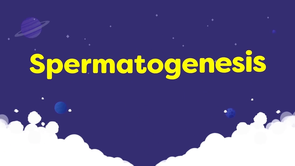 Video belajar Spermatogenesis Biologi untuk Kelas 11 IPA