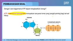 Dengan cara bagaimana ATP dapat menghasilkan energ...