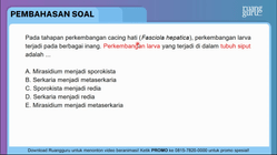 Pada tahapan perkembangan cacing hati ( Fasciola h...