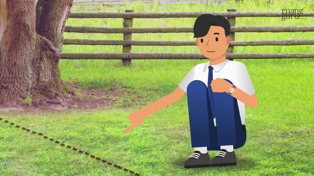 Video belajar Gerak Lurus Beraturan (GLB) Fisika untuk Kelas 8