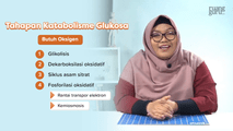 Biologi TKA Saintek Metabolisme Sel Konsep Kilat Katabolisme (NEW!)
